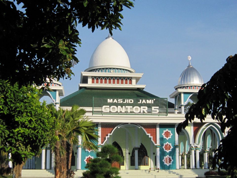 Mengenal lebih dekat DMT Darul Muttaqin Gontor 5 Banyuwangi | IKPM PAKISTAN