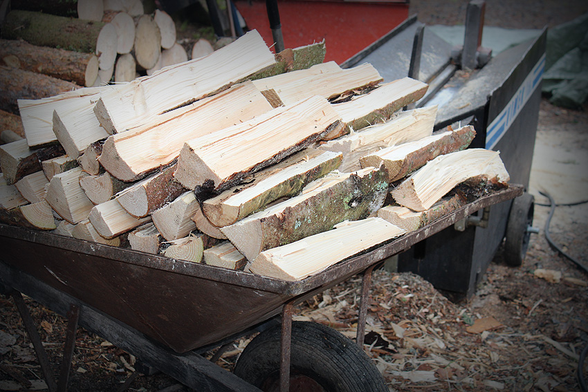 Gårdsbacken: Vinterns ved