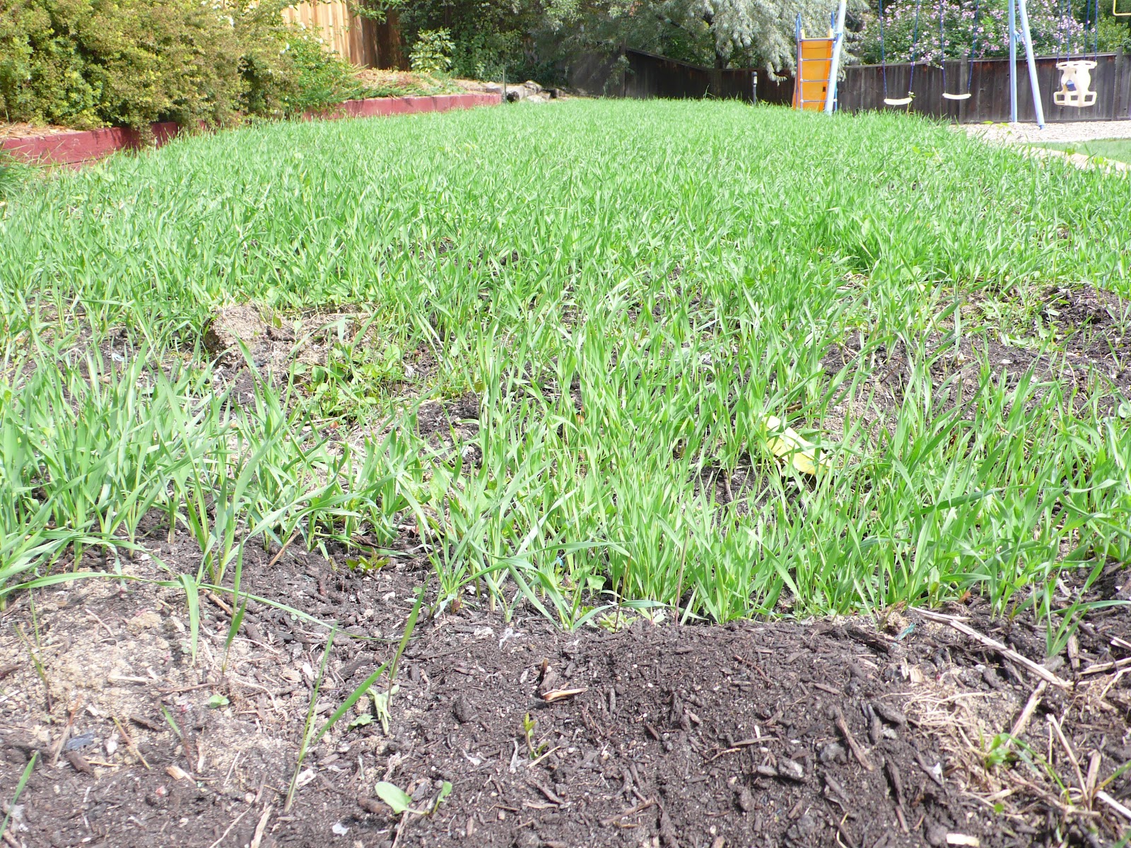 Big Yields: Building soil tilth