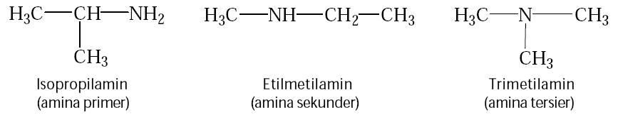 Senyawa Amina, Sifat, Kegunaan, Tata Nama, Pembuatan, Sintesis ...