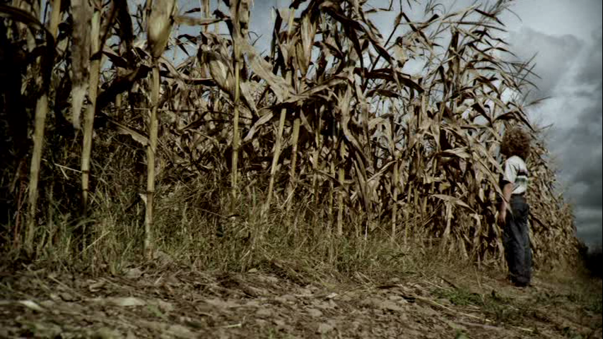 Twilight Language: Cinematic Corn: Oz, Twister, Signs, Interstellar ...