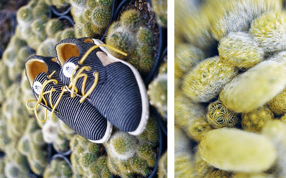 INSPIRAÇÃO: INSECTA SHOES | CyStorck.com.br | Cynthia Storck