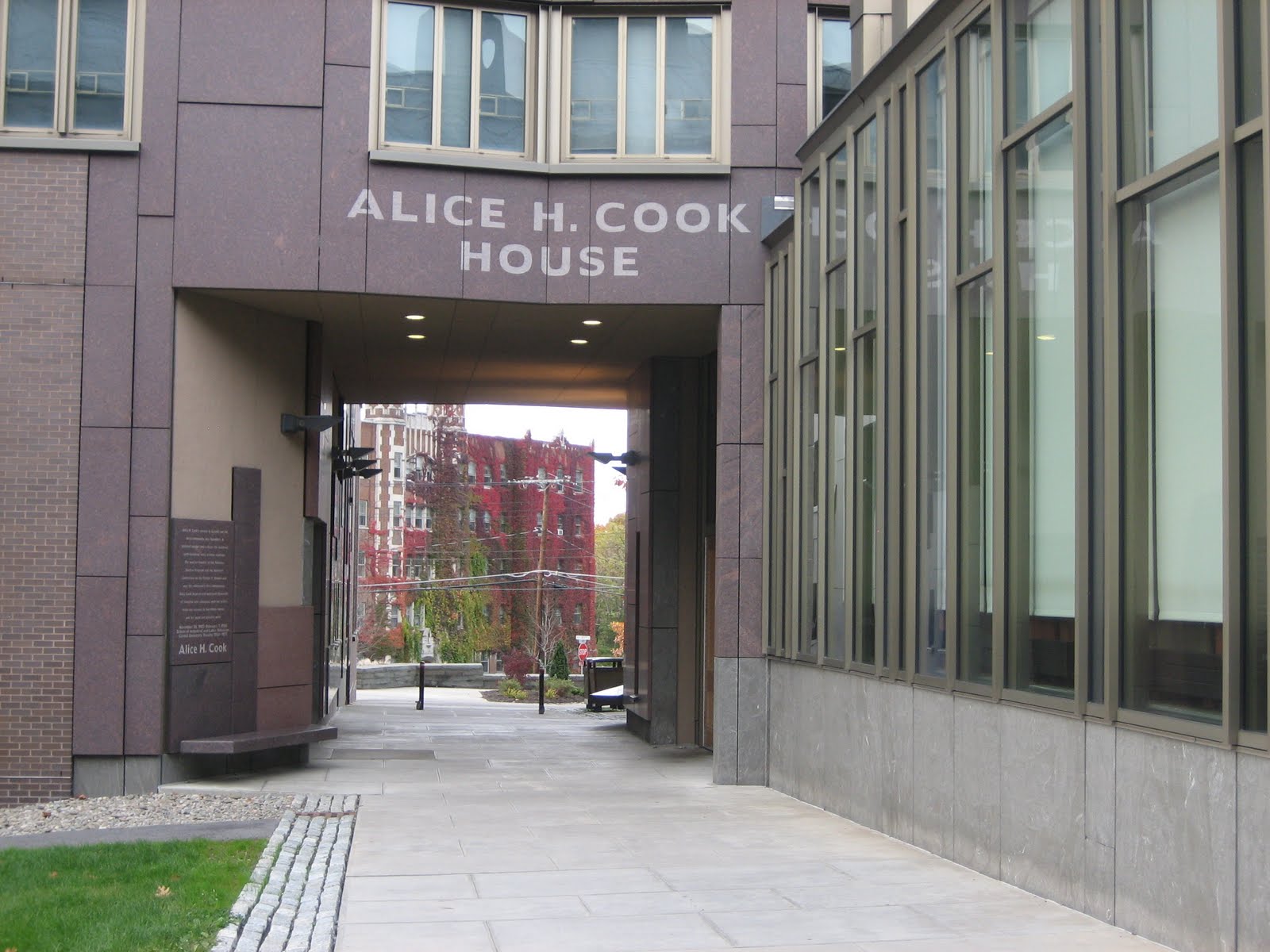 This Week's Chess Safari: Grandmaster Sam Palatnik visits Cornell