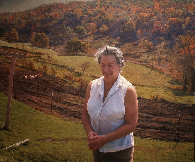 David M. Lenz | U.S. Painter - Fine Art and You