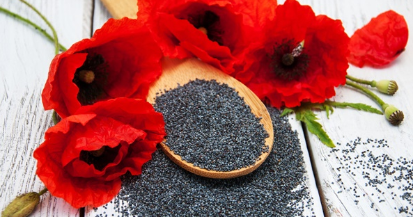 Semintele de mac: beneficii si retete