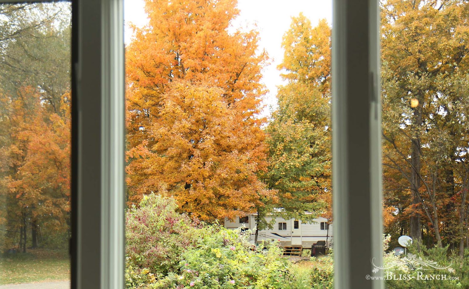 Bliss Ranch: #1 Son Monthly New House Update