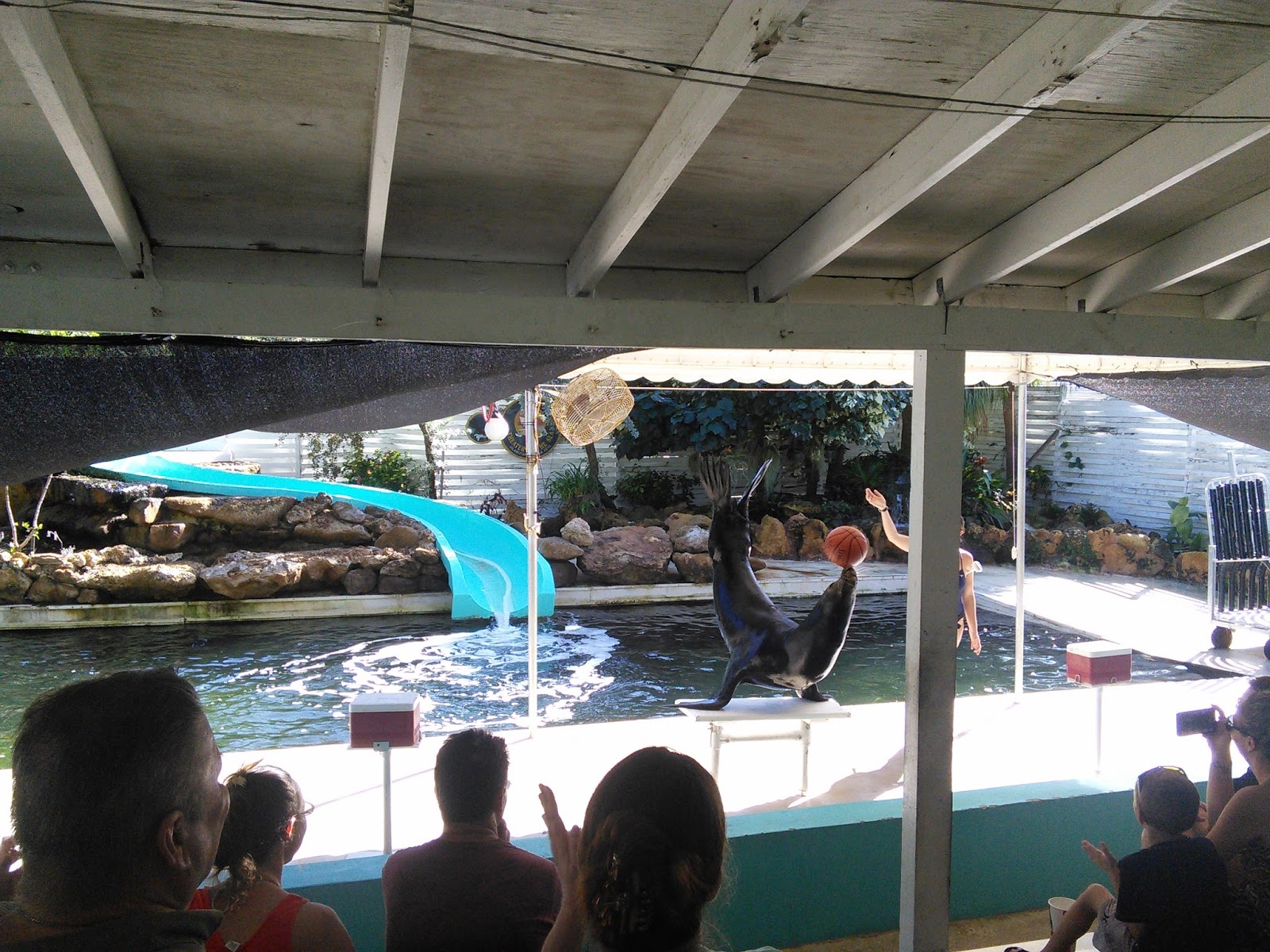 We're Going To MIAMI 🐙: Theatre of the Sea