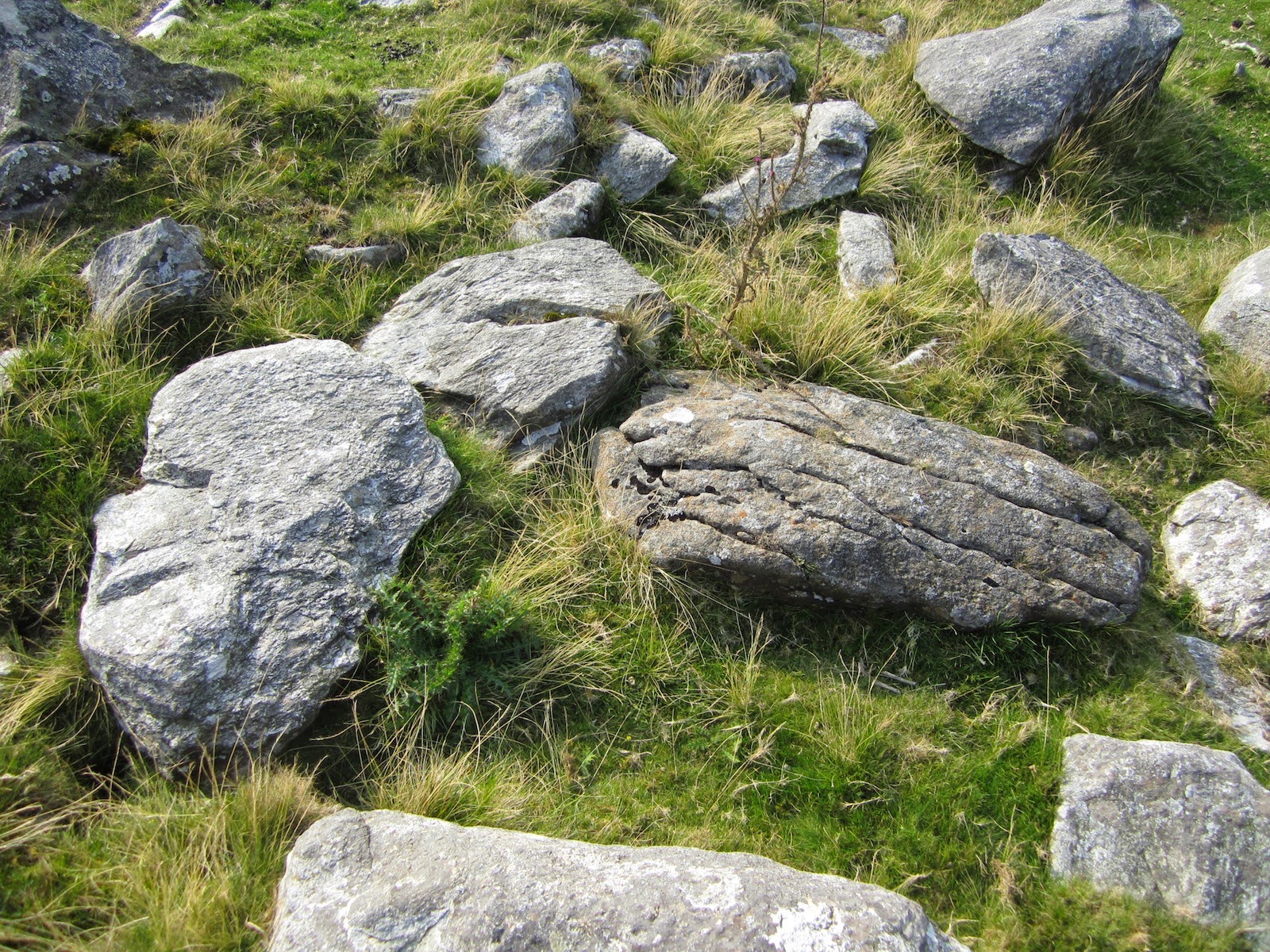 Stonehenge and the Ice Age: Glacial features on the Carn Goedog sill ...