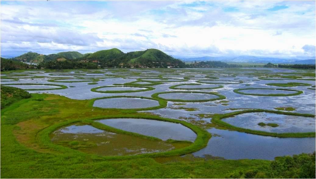 Amazing Manipur: Loktak Lake : The floating paradise of Manipur