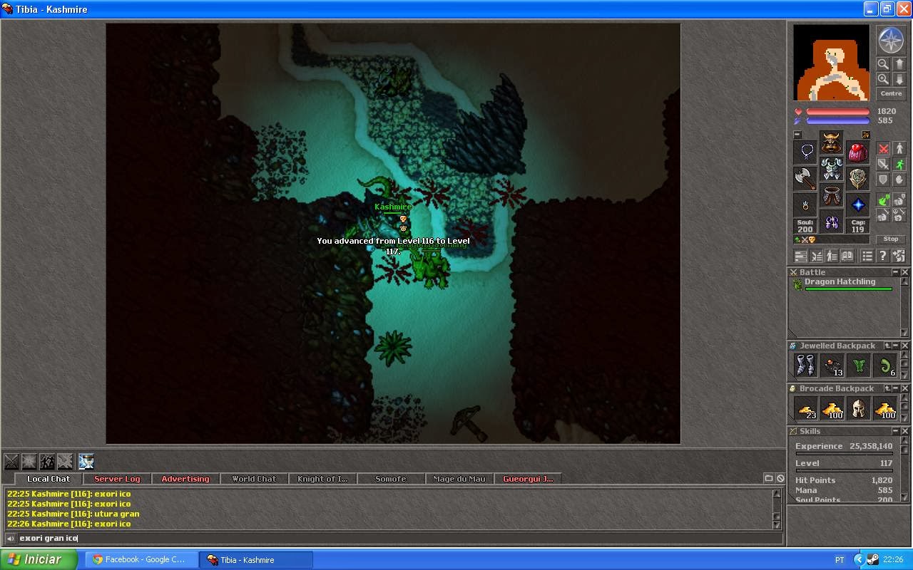 As melhores hunts do Tibia: Upando - level 111 ao 119