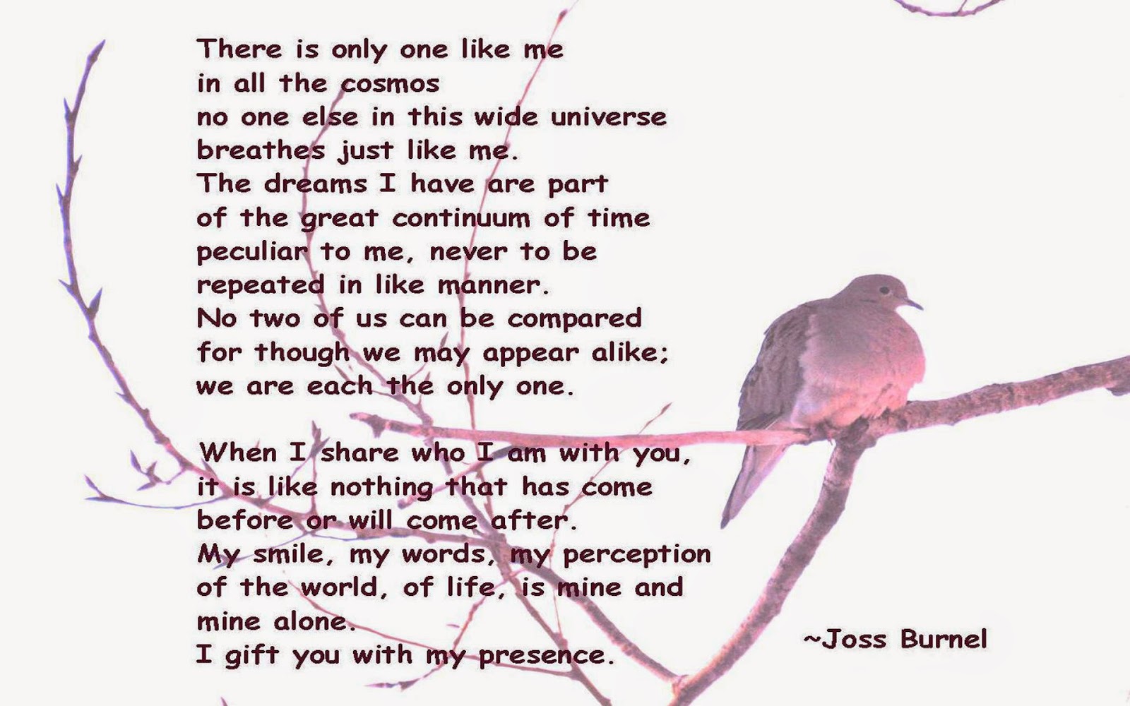 Wisdom Poems About Life With Images By Famous Authors - Poetry Likers