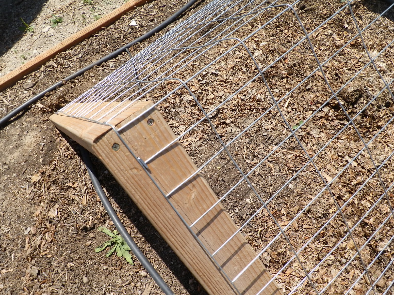 The Gardener's Spot: Building a Trellis for Squash and Cucumbers
