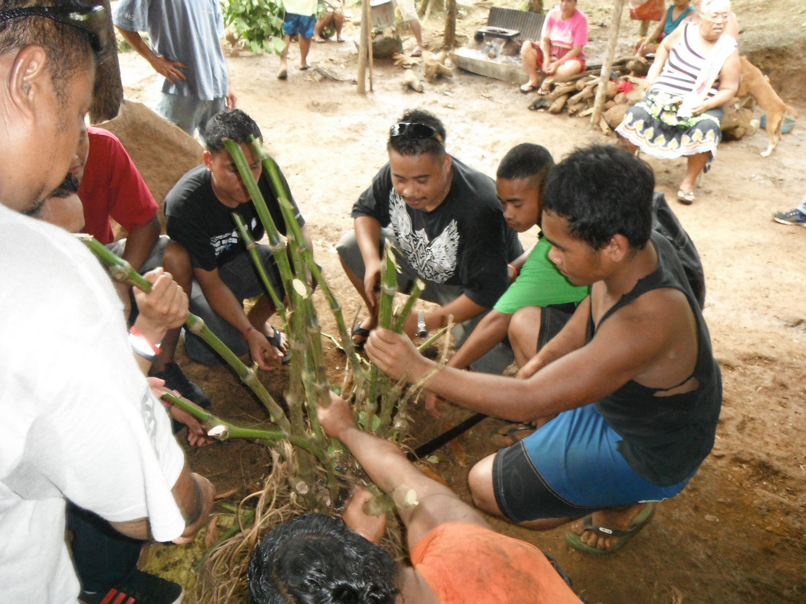 Sakau ceremony field trip Paies Kitti