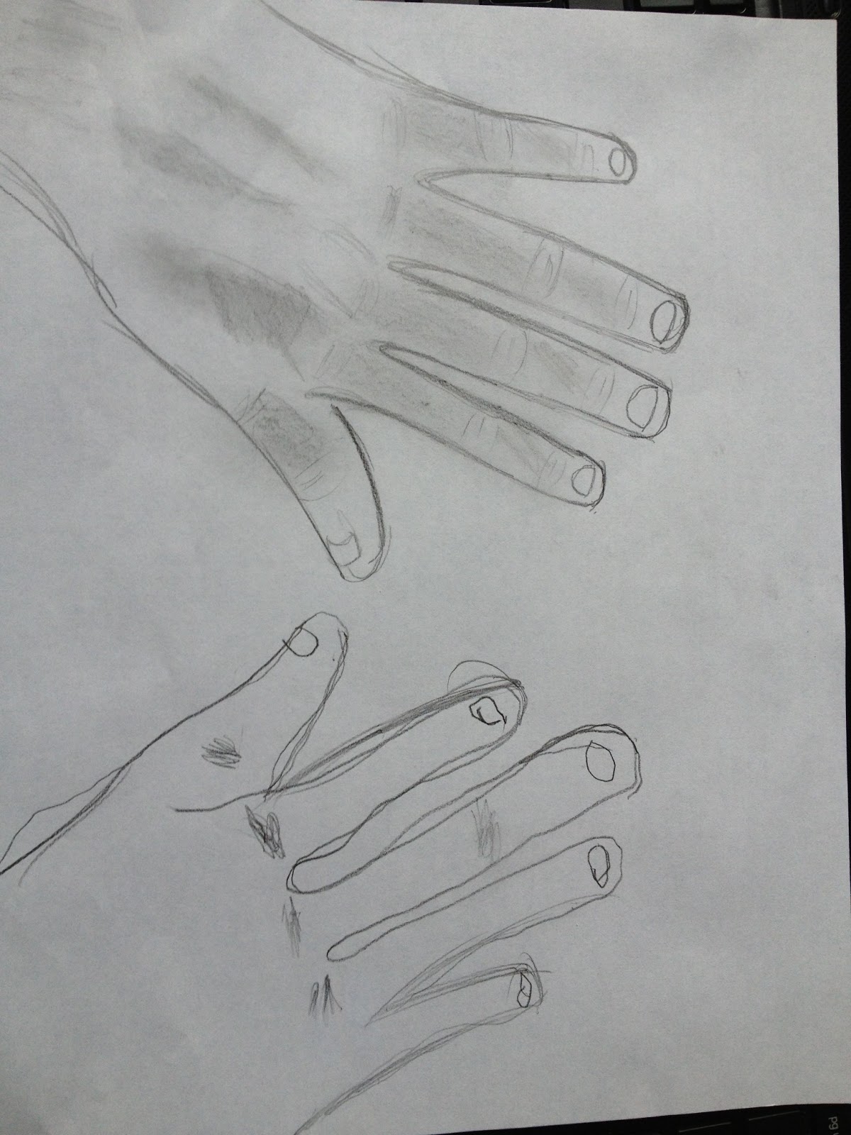 The Last Straw: Exploring Line: Hand Drawings