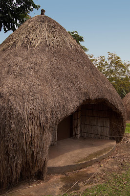 Tree Travels: Kampala, Uganda
