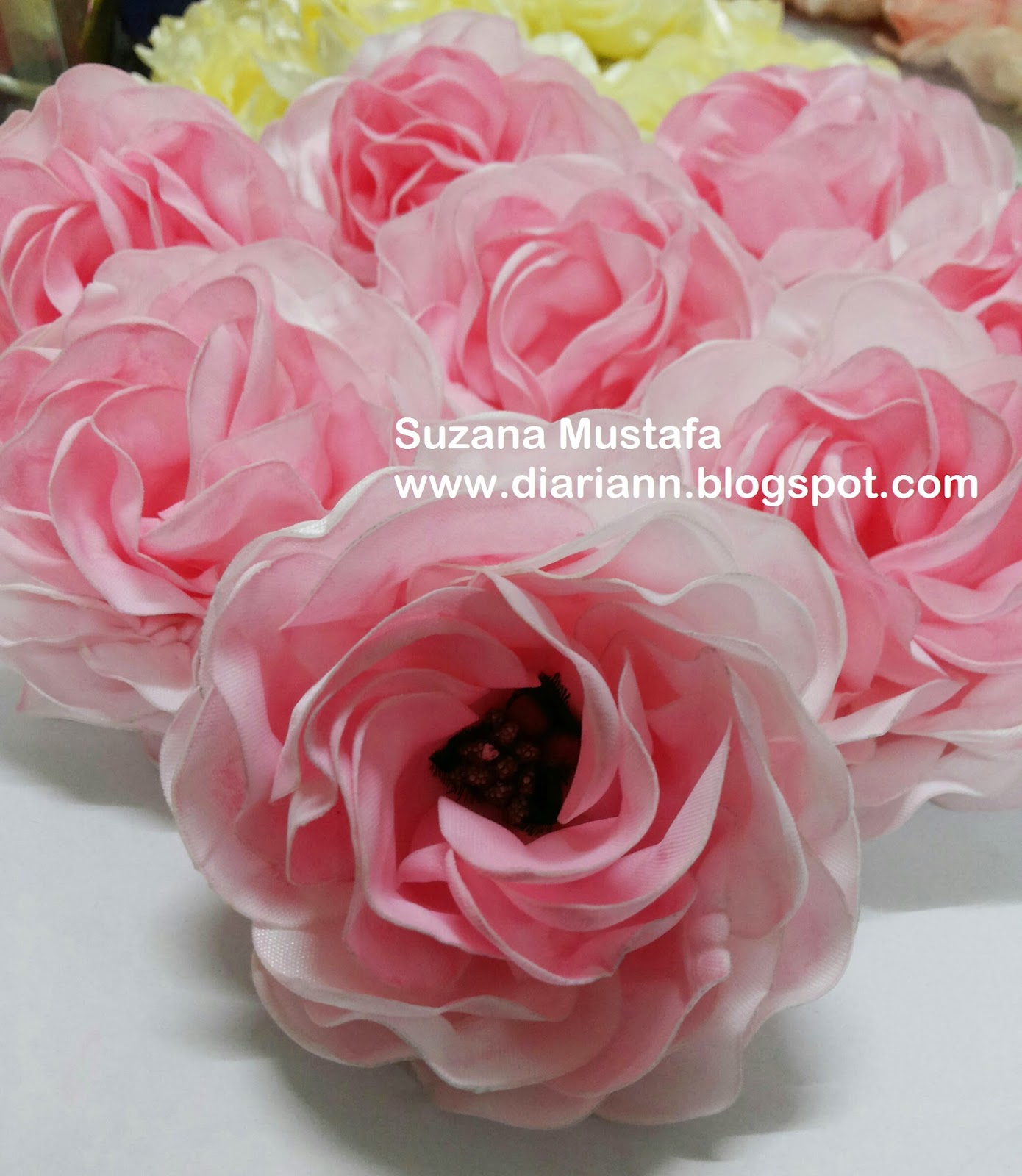 Suzana Mustafa: BENGKEL BUNGA REBEN 27/9/2014