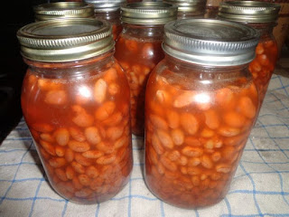 Frugal Living on the Watkins Ranch: Canning Plain Pinto Beans
