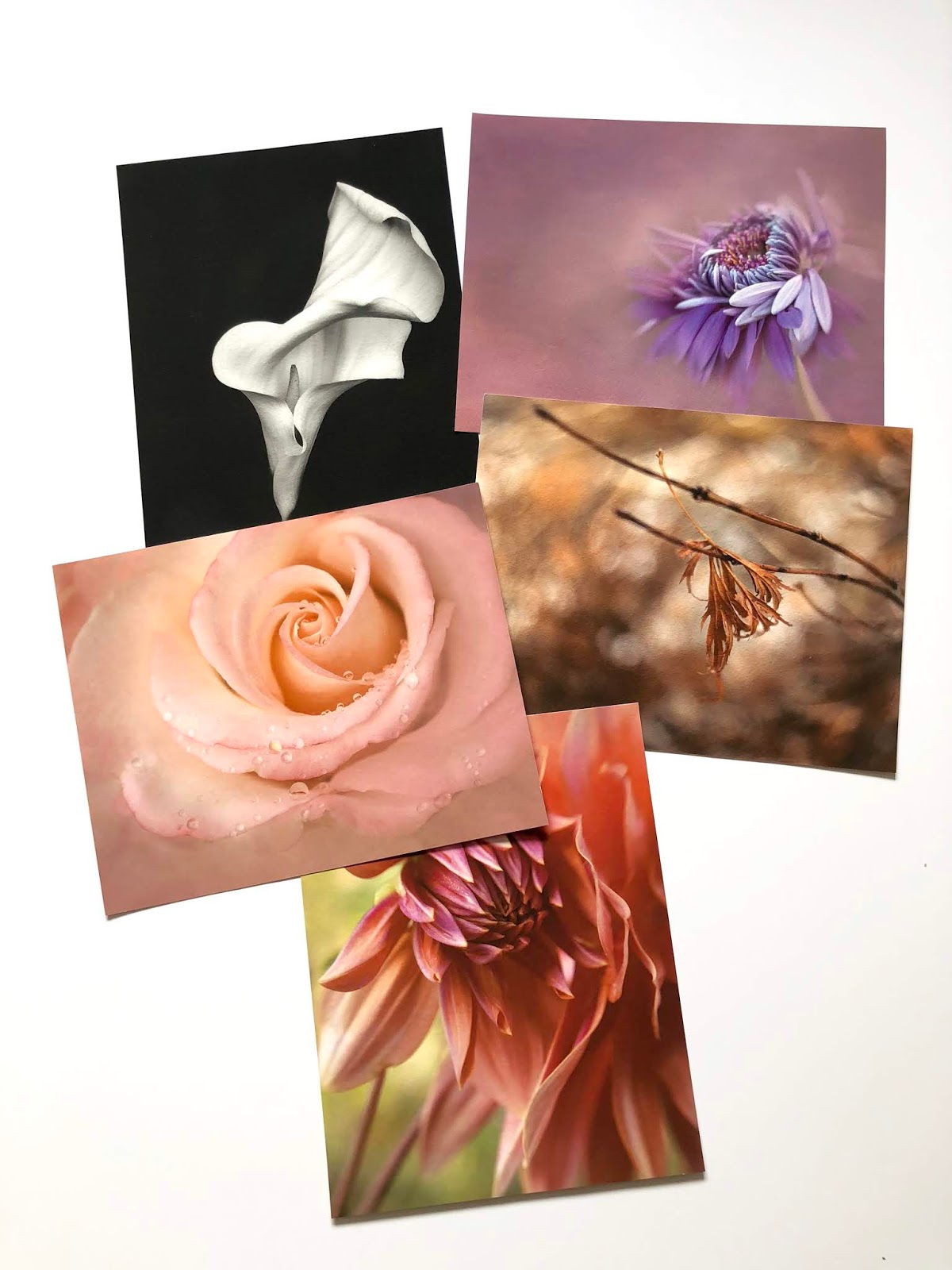 Kathleen Clemons Photography: June 2018