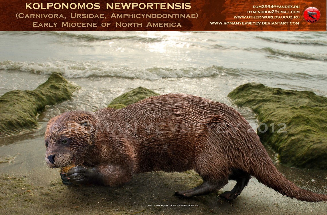 Palaeos, la historia de la Vida en la Tierra: junio 2013