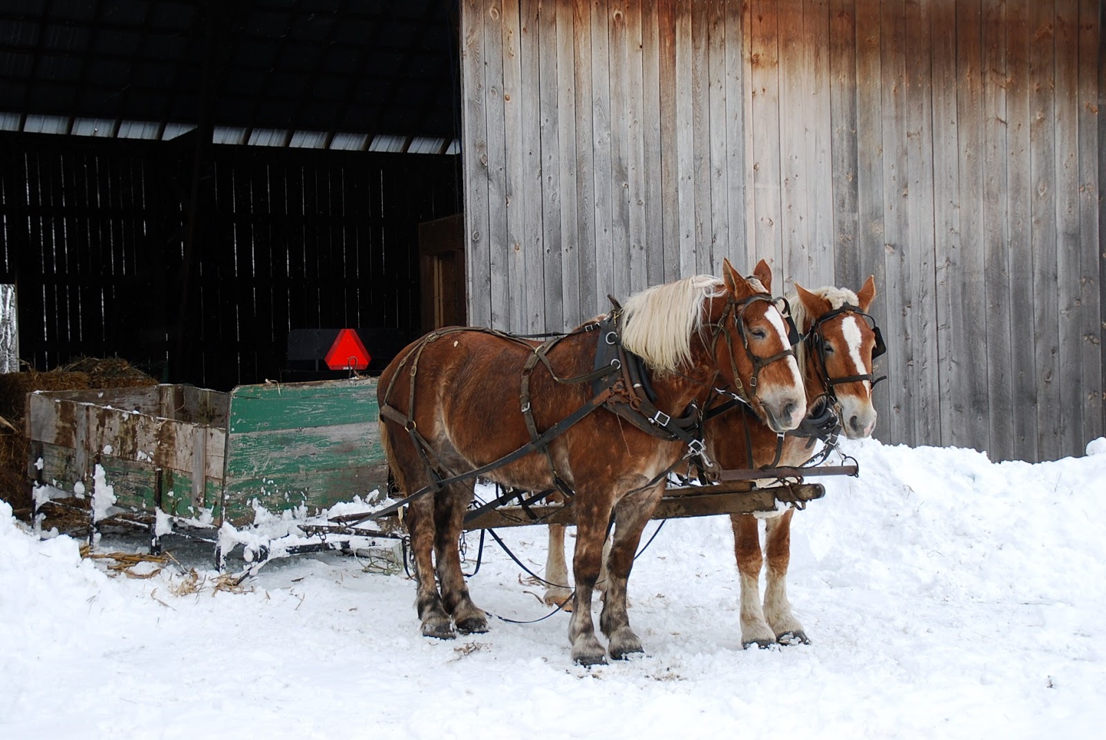 Amish Crossings with Karen Anna Vogel: Amish Winter Pictures shot in ...