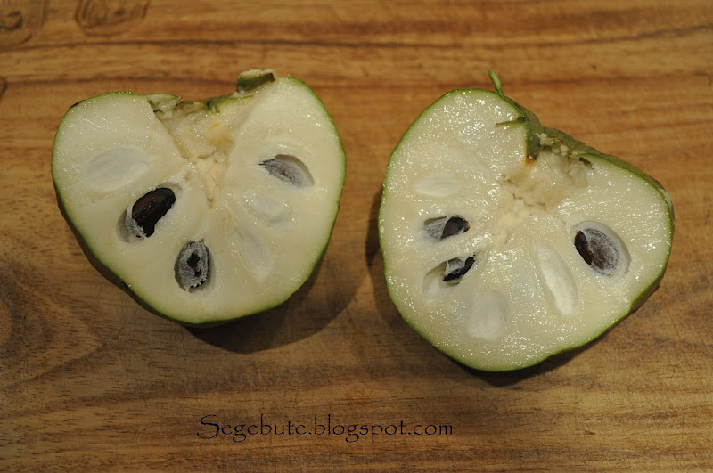 SEGEBUTĖS UŽRAŠAI: Anona