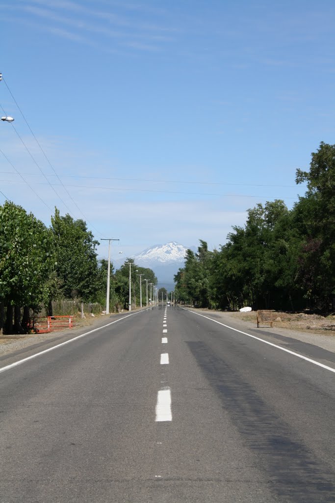 Las andanzas de Jorgito... por:: Coihueco