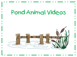 A Teacher's Touch: Using Pond Discovery Bags to Help Students Develop ...