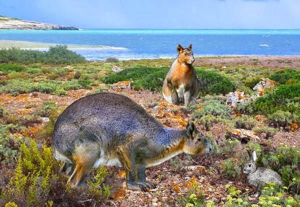 EL MUNDO DE LOS DINOSAURIOS Y LOS OTROS ANIMALES PREHISTÓRICOS : EL ...