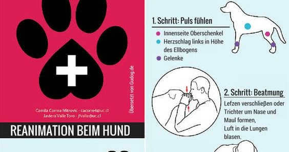 Hundegedichte & mehr / Dog poems & more: Reanimation beim Hund
