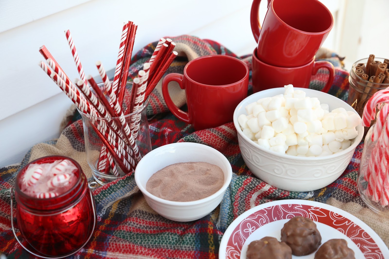 b.davis photography: Christmas Coco Celebration