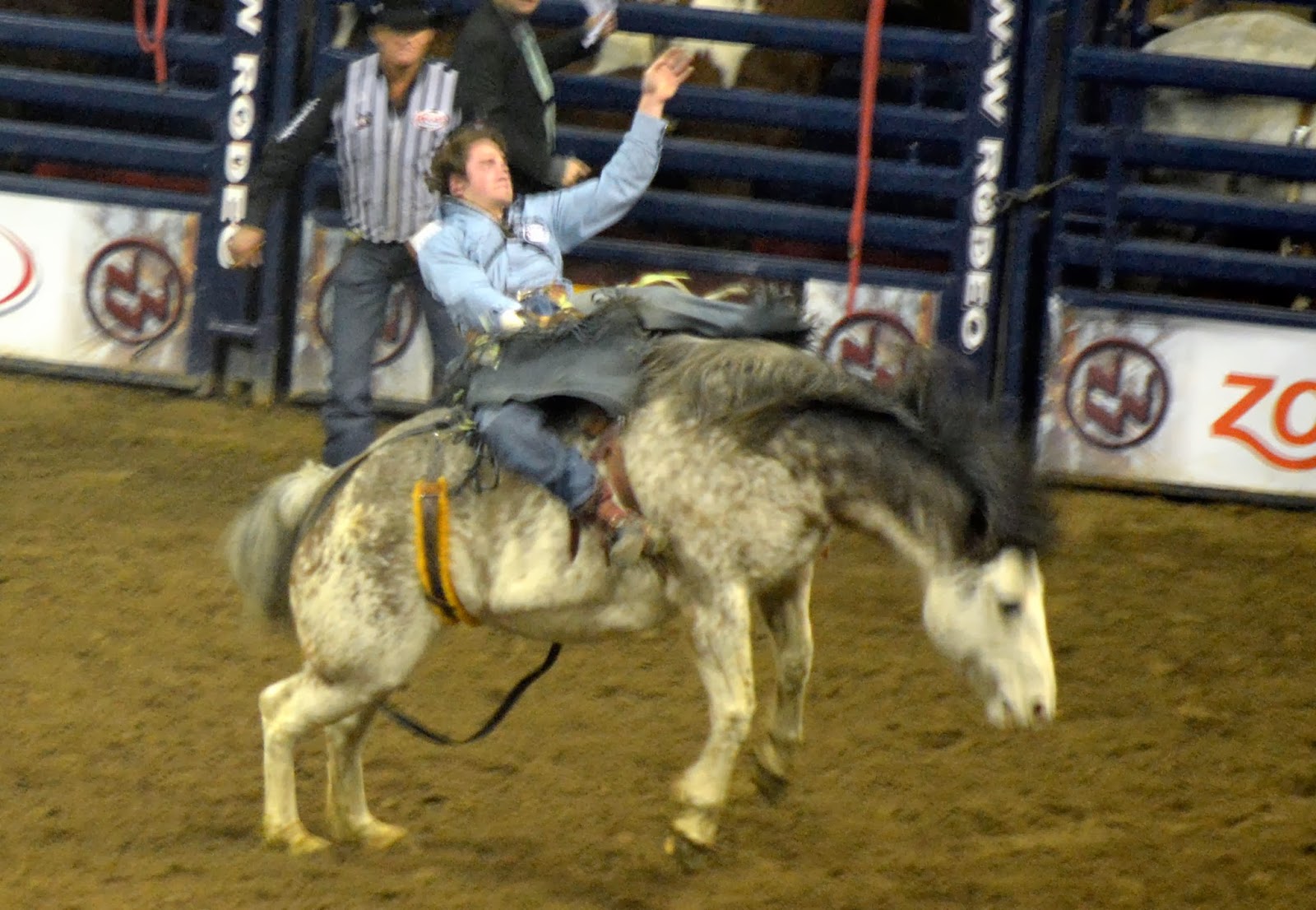 Mille Fiori Favoriti: The National Western Stock Show and Rodeo