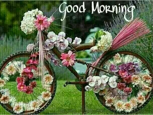 Mind Blowing Good Morning Images, Best Wallpapers | Festival Chaska