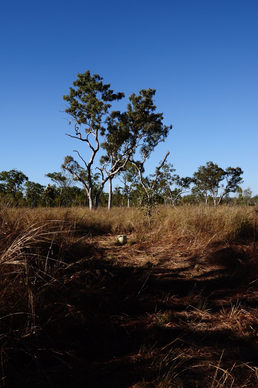 BarbaraTVan: BARBARA'S KIMBERLEY ADVENTURE - WALCOTT INLET TO GIBB ...