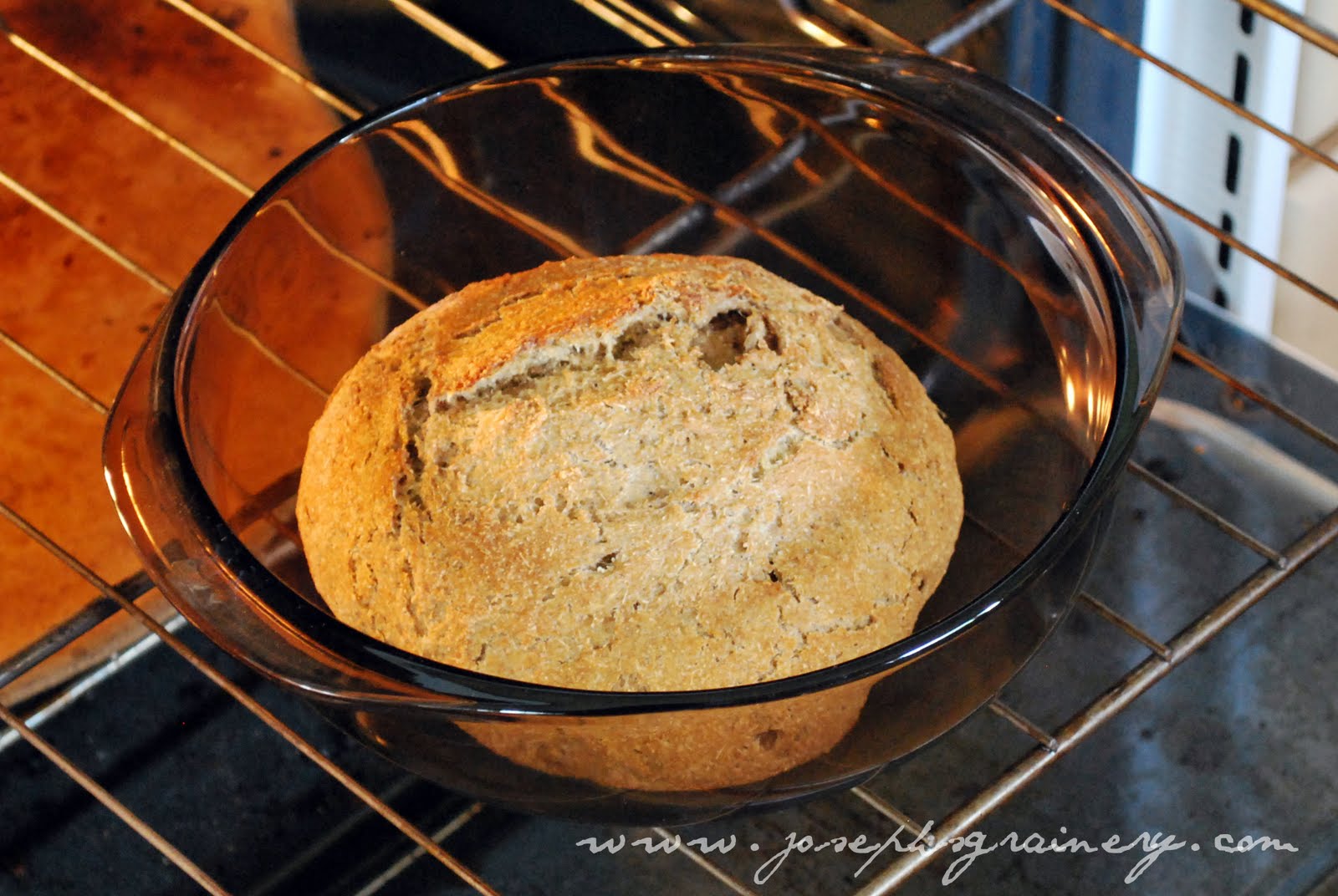 Joseph's Grainery: Lahey No-Knead Bread Making Method (part 2)