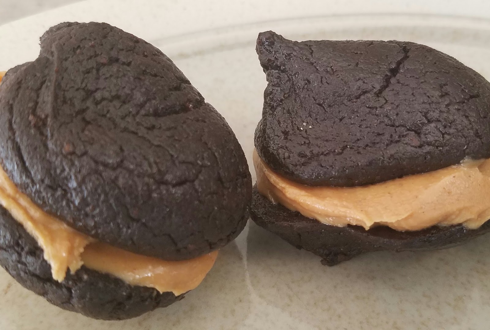 Pocono Pabulum for Mind & Body: Superfood Chocolate Cookies