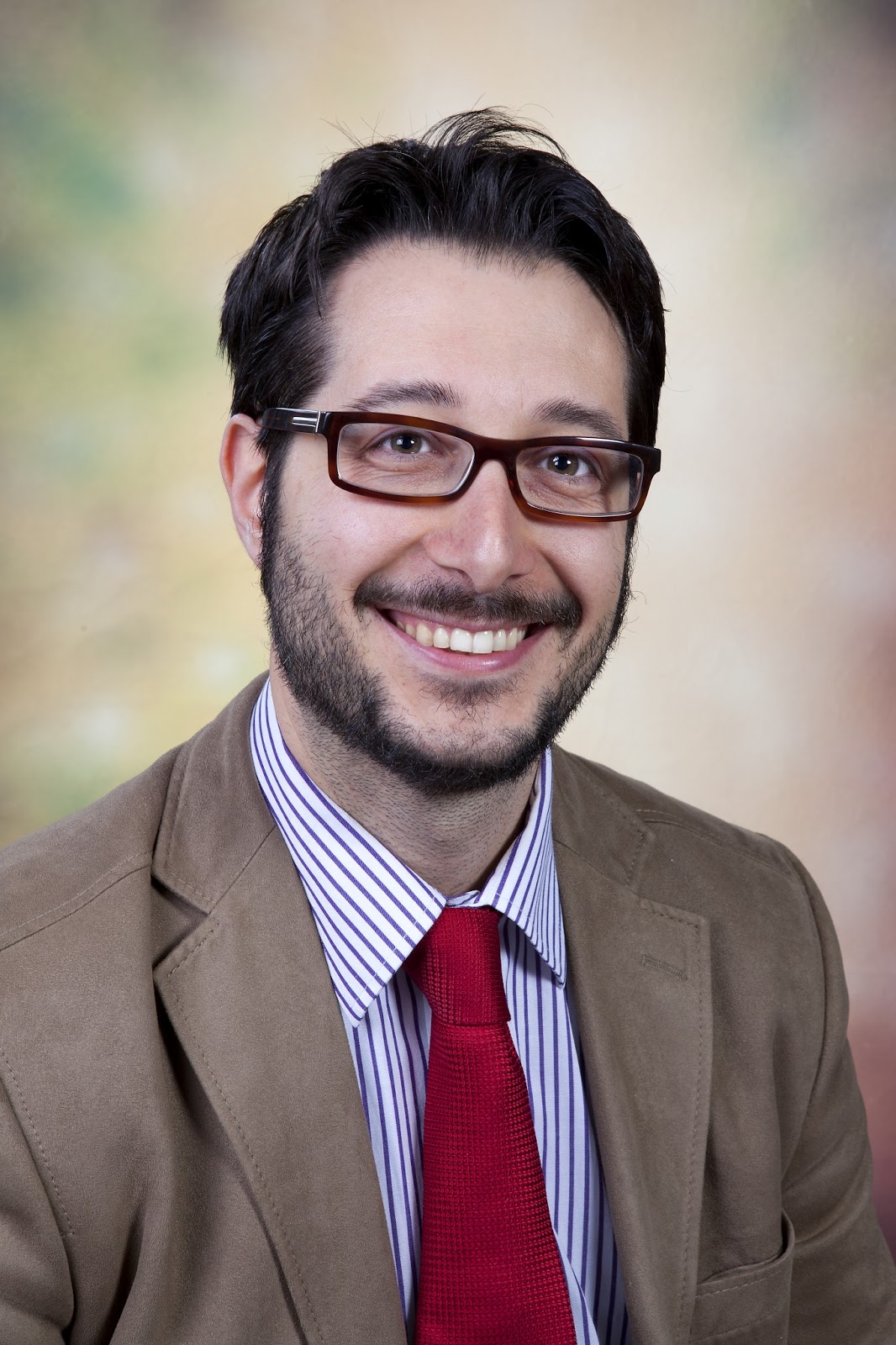 Massimo Borghi: Elezioni 2013