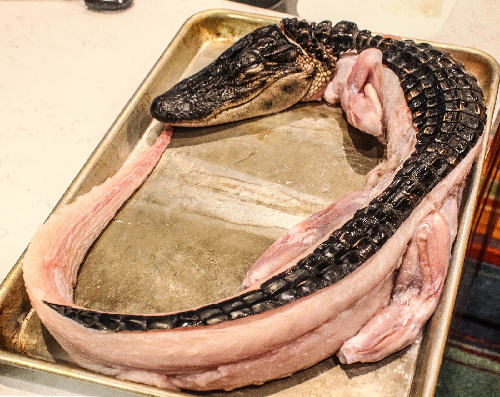 Alligator Tail Meat