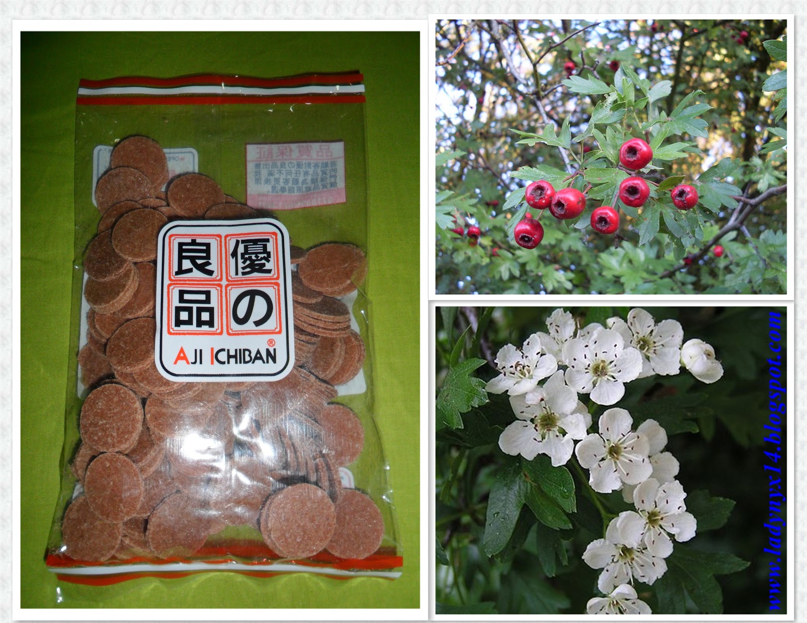 Lady Nyx: Get Hawthorn Flakes at Aji Ichiban Stores