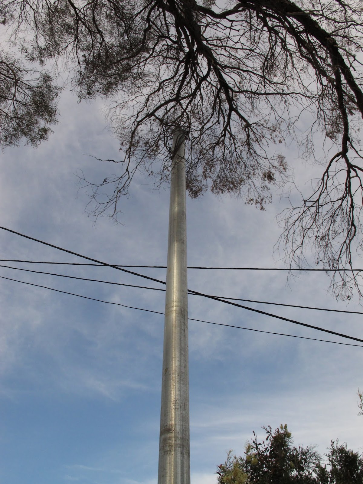 Our Metricon Nolan 41 Journey: Power pole installed