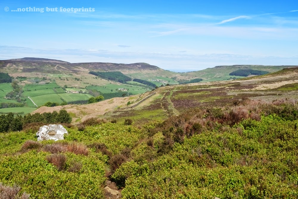 Bilsdale and Bransdale (North York Moors)