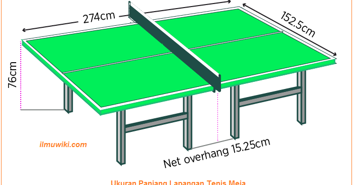 Ukuran Lapangan Tenis Meja, Teknik Pukulan, Cara Memegang Bet, dan ...