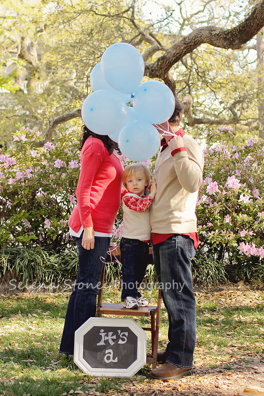 Newborn and Maternity Photographer Charleston, SC Selena Stoney ...