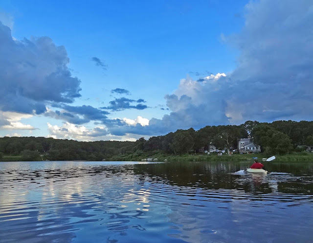Joe's Retirement Blog: Pond Life, Bartlett Pond, Manomet, Plymouth ...