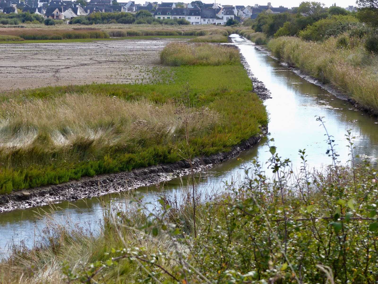 Le retour chez Canelle: Le Marais de Pen Mané