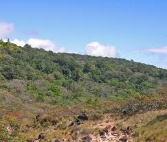 ECOSISTEMAS DE COSTA RICA: MATORRAL SECO ESPINOSO