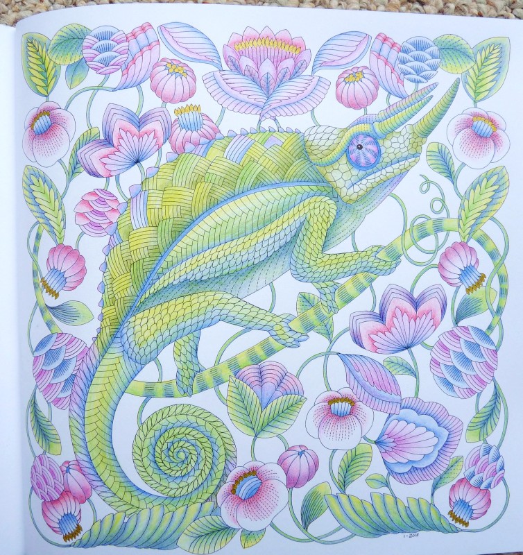 Meisie's Doodles: Colouring - Curious Creatures