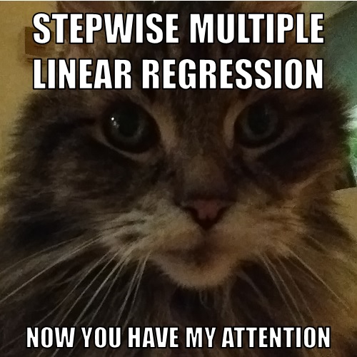 Spreadsheets and Financial Basics: Regression Modeling Spreadsheet ...