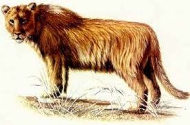 Abe's Animals: Panthera Youngi