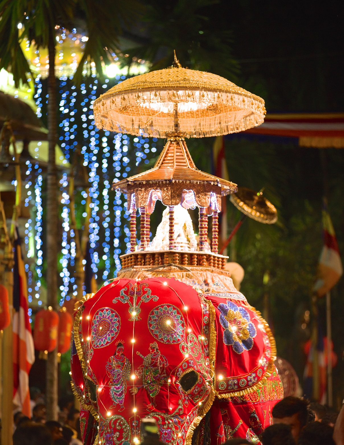 The Ceylon Times: Navam Perahera