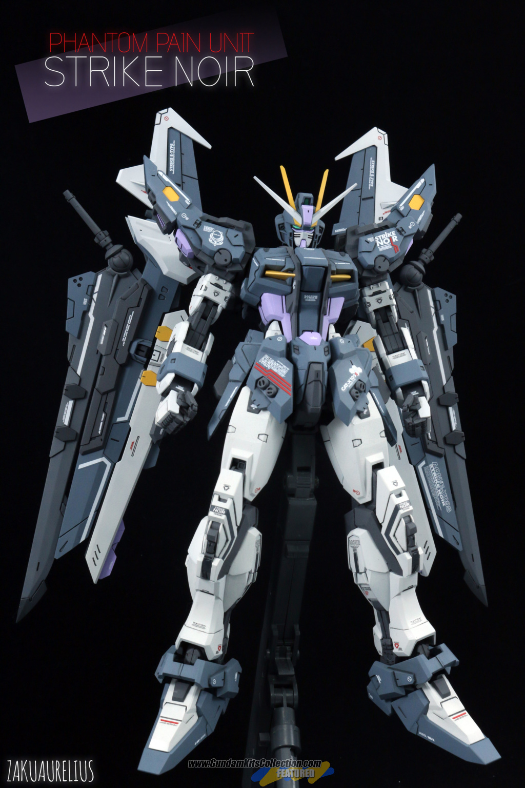 Painted Build: DM 1/100 Strike Noir